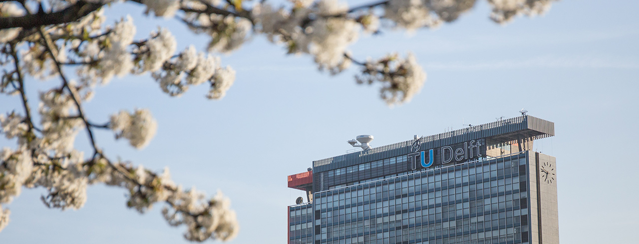 Professor Barbara Terhal appointed as new member of the KNAW - QuTech