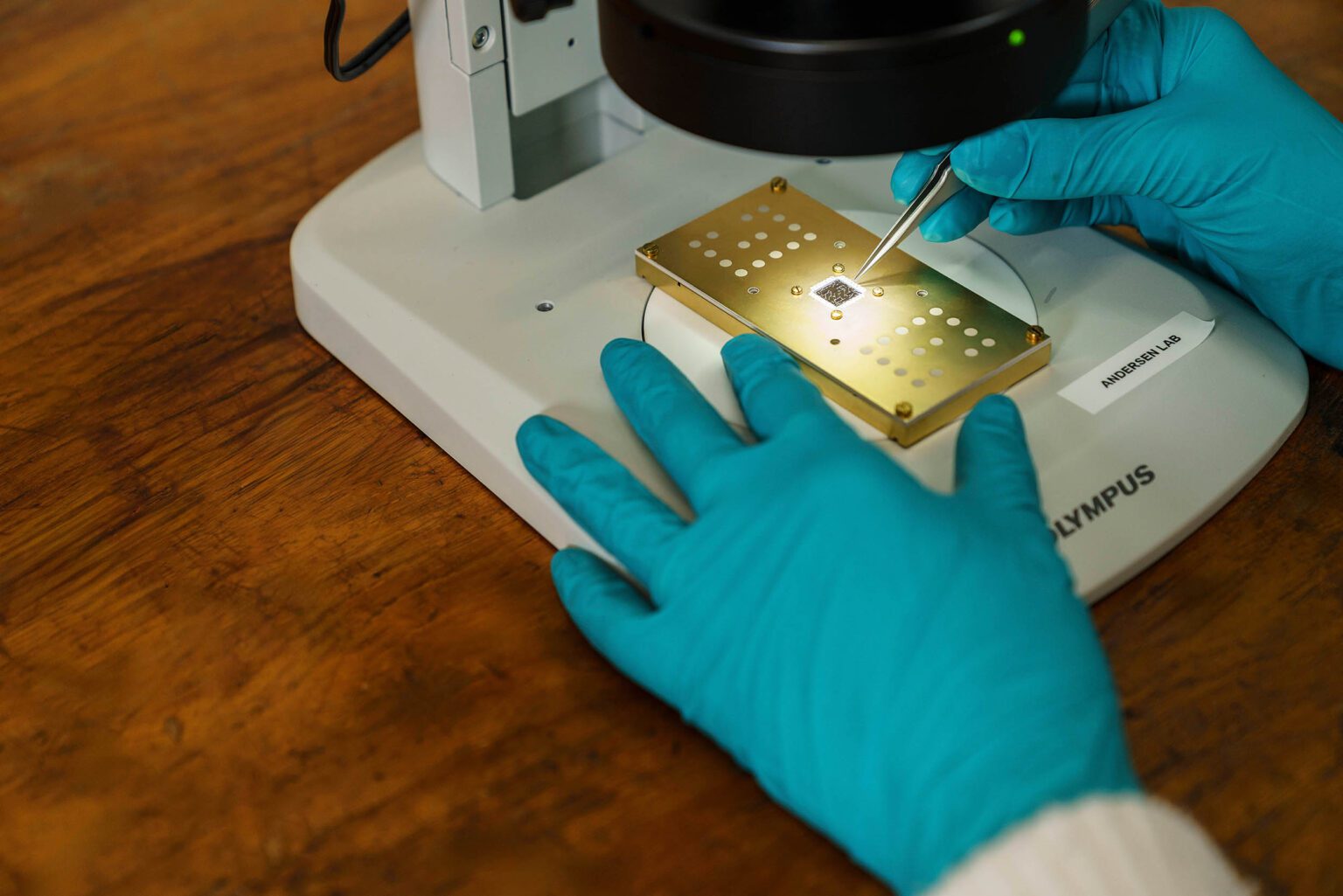 Andersen Lab - QuTech